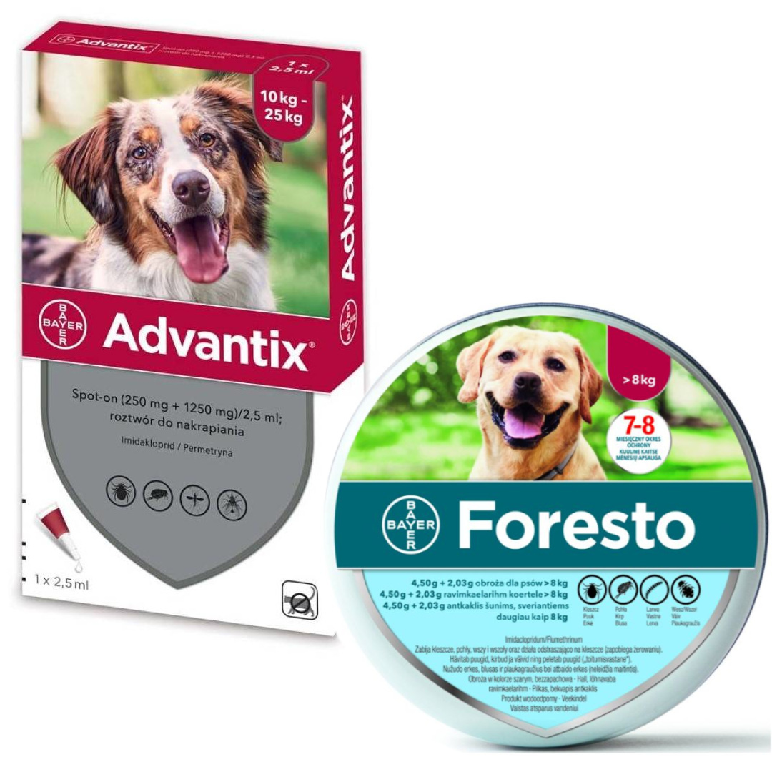 Foresto Bayer Obroża Przeciw Kleszczom I Pchłom Dla Psa Powyżej 8kg ...