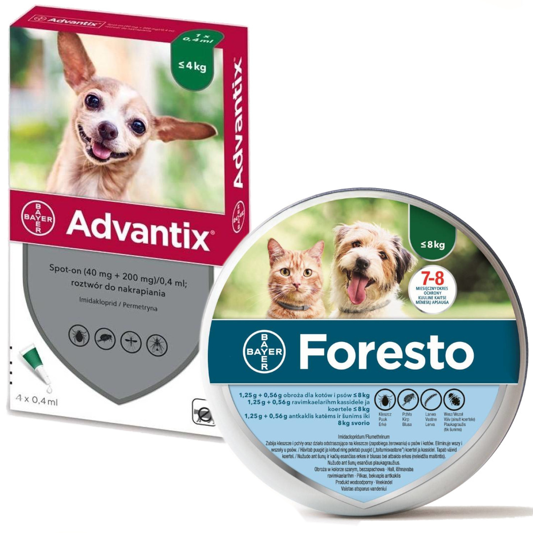 Foresto Bayer Obroża Przeciw Kleszczom I Pchłom Dla Psów Malych Ras ...