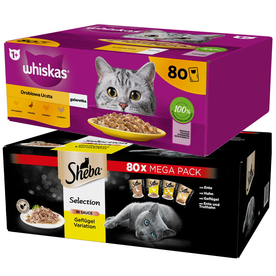 Whiskas Drobiowa Uczta W Galaretce 80x85g + Sheba Selection in Sauce Kolekcja Drobiowych Smaków ...